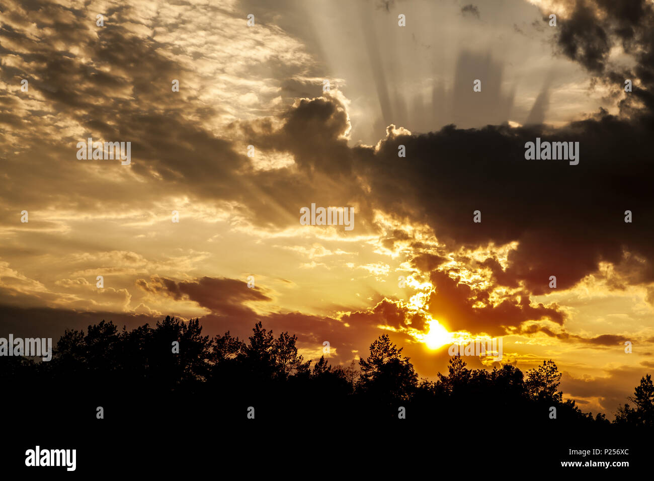 Summer sunshine with clouds hi-res stock photography and images - Alamy