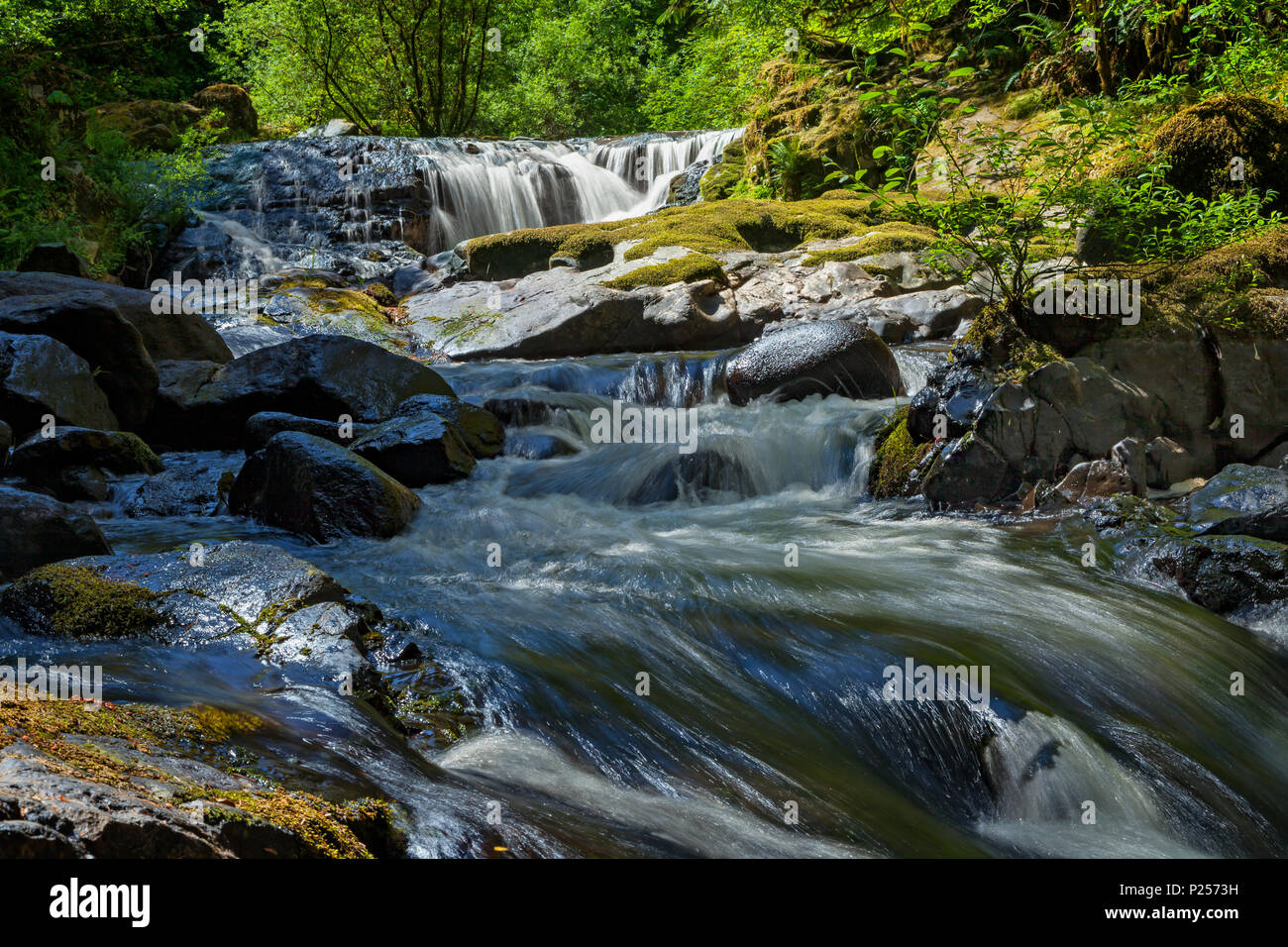 One of the many cascades and waterfalls along Sweet Creek in Oregon's ...
