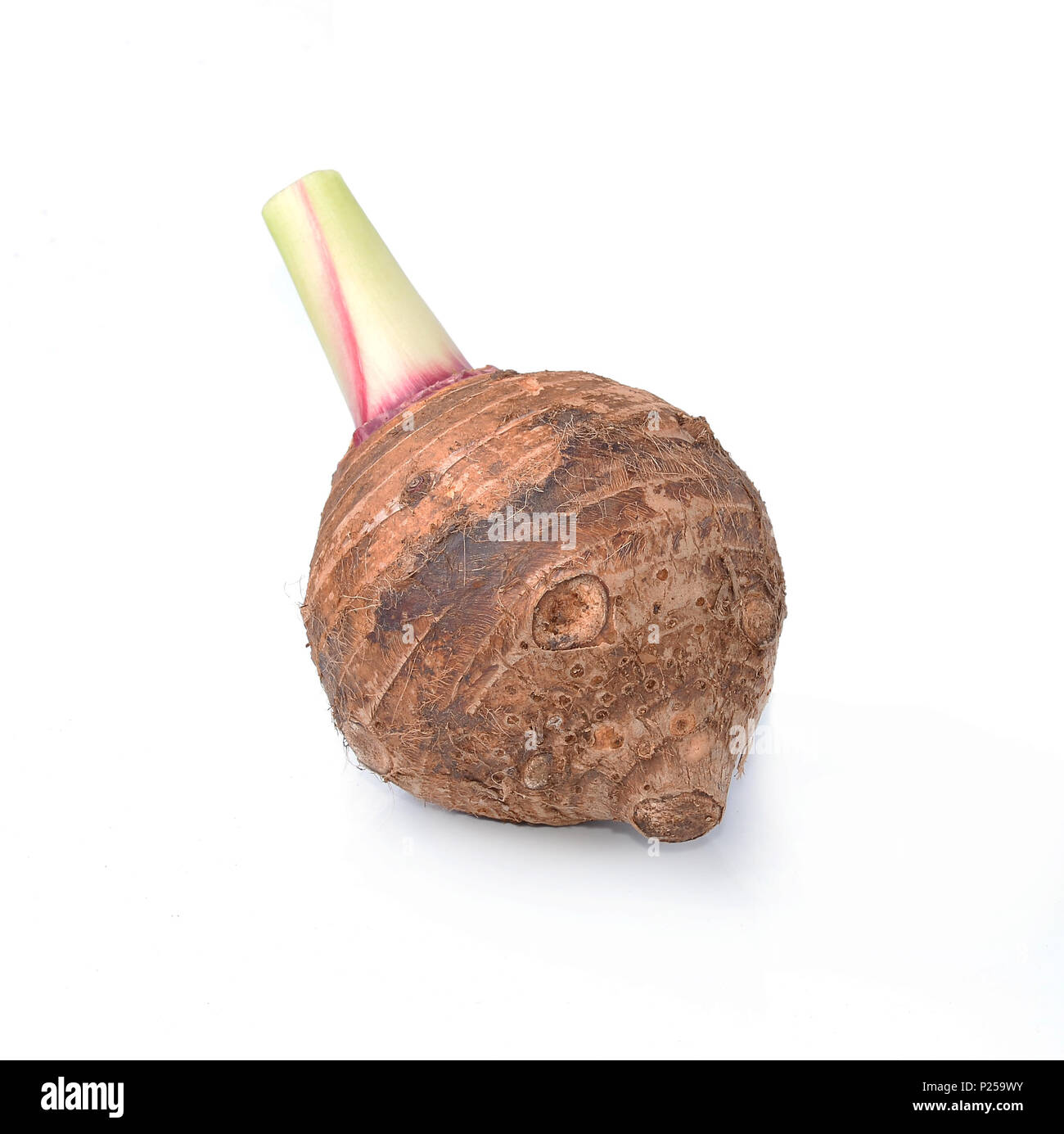 Taro Corm Stock Photos & Taro Corm Stock Images - Alamy