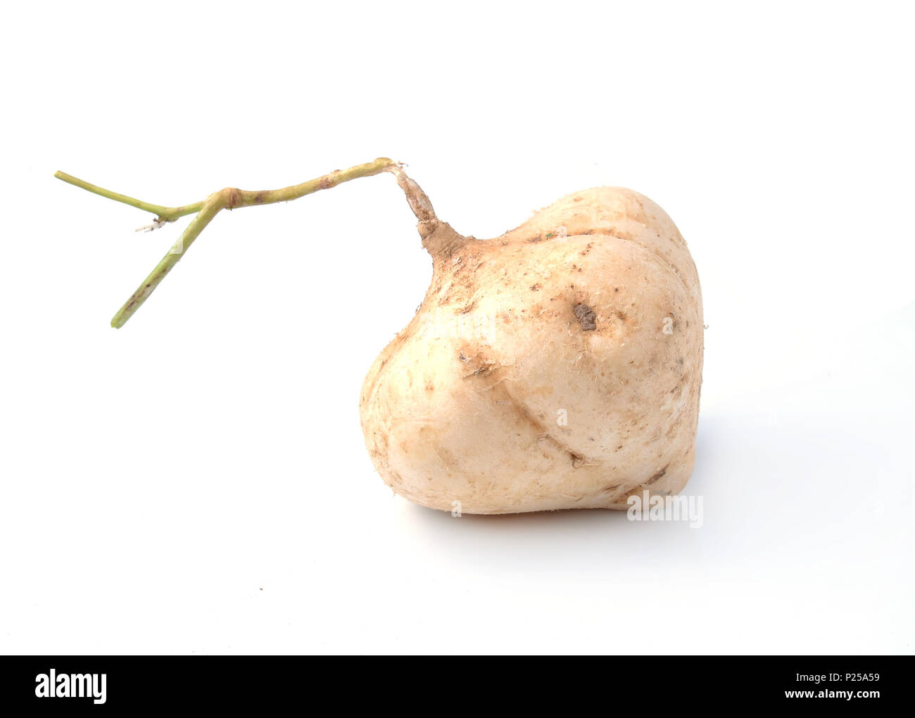 jicama on white background Stock Photo - Alamy