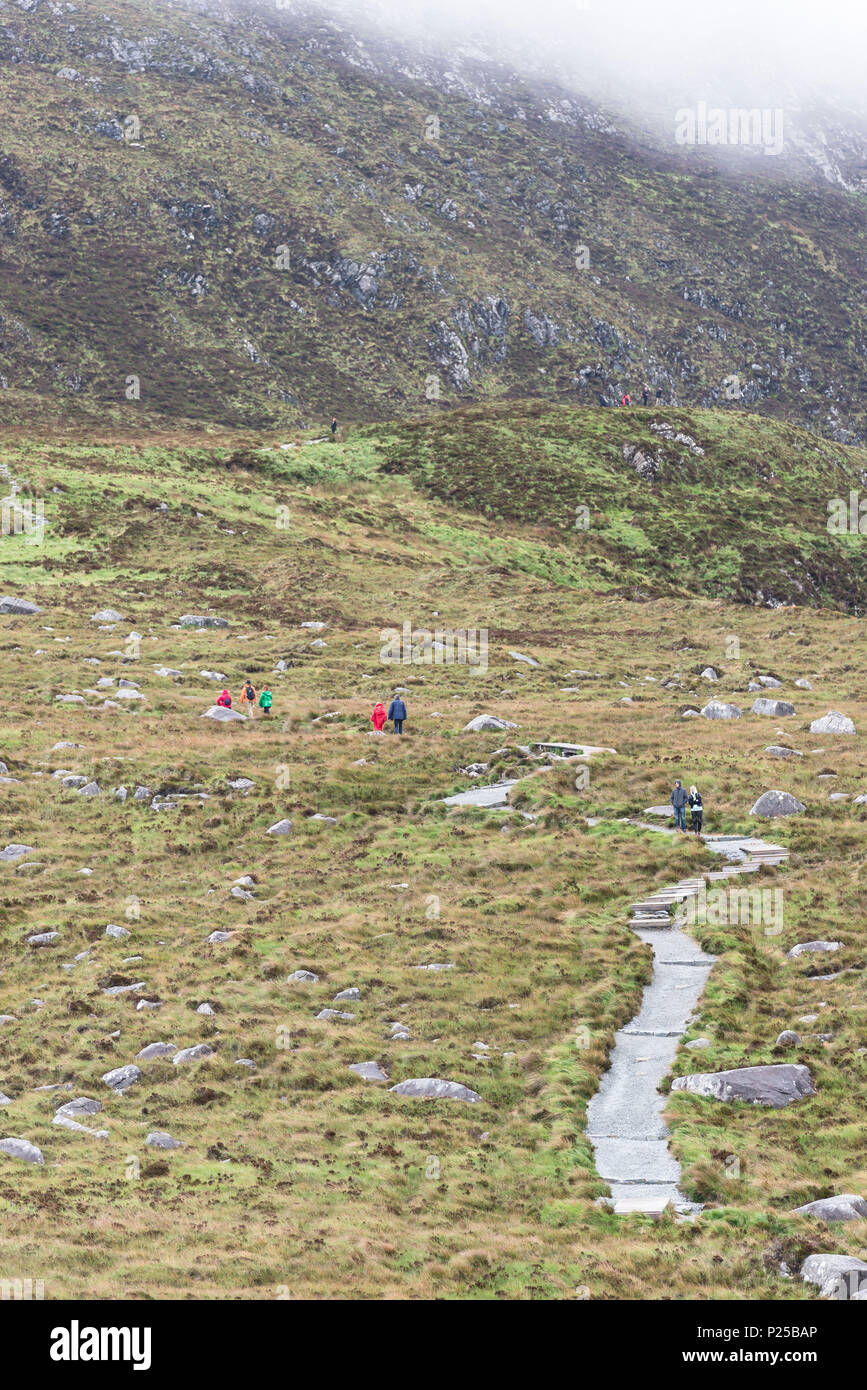 Ireland, Letterfrack, Connemara National Park, Co. Galway, Ireland ...