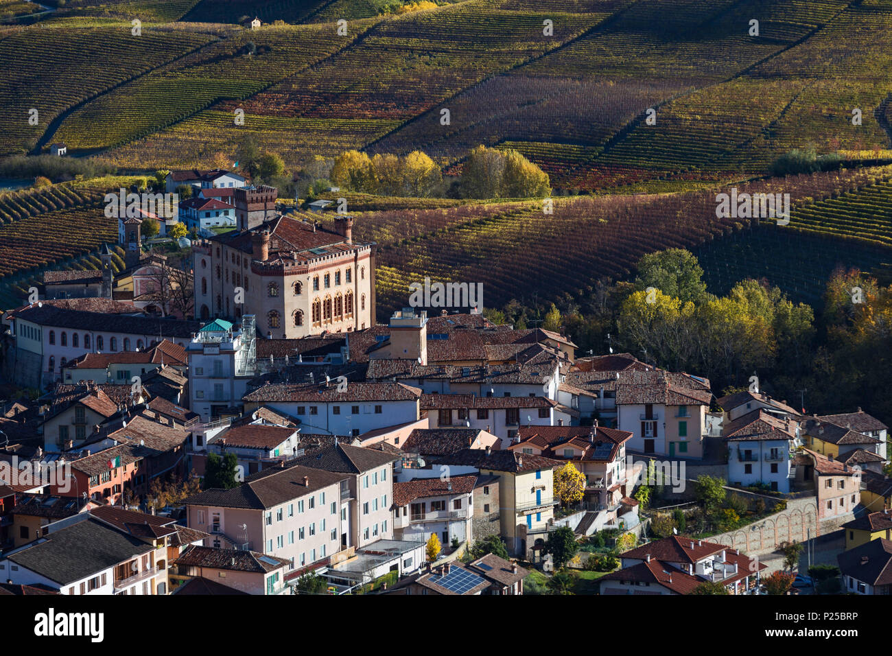 Langhe, Cuneo district, Piedmont, Italy, Europe. Barolo wine region ...