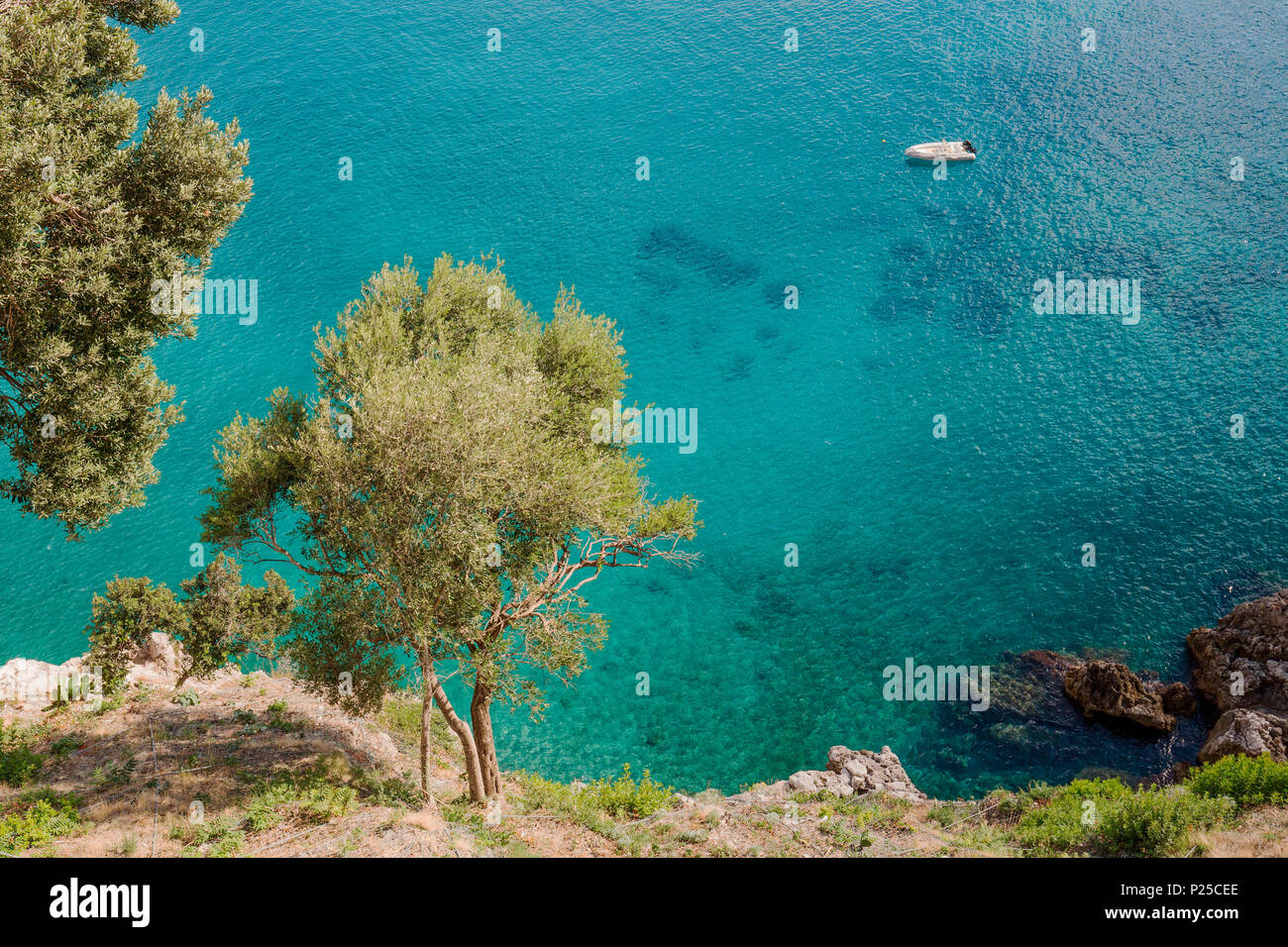 Olive tree sea amalfi hi-res stock photography and images - Alamy