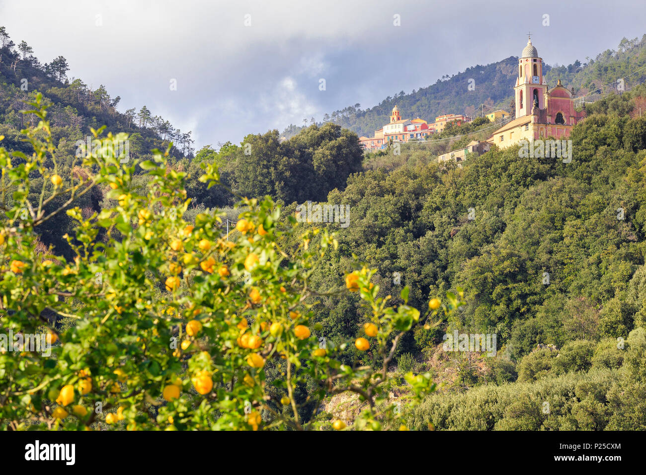 Lemon village hi-res stock photography and images - Alamy