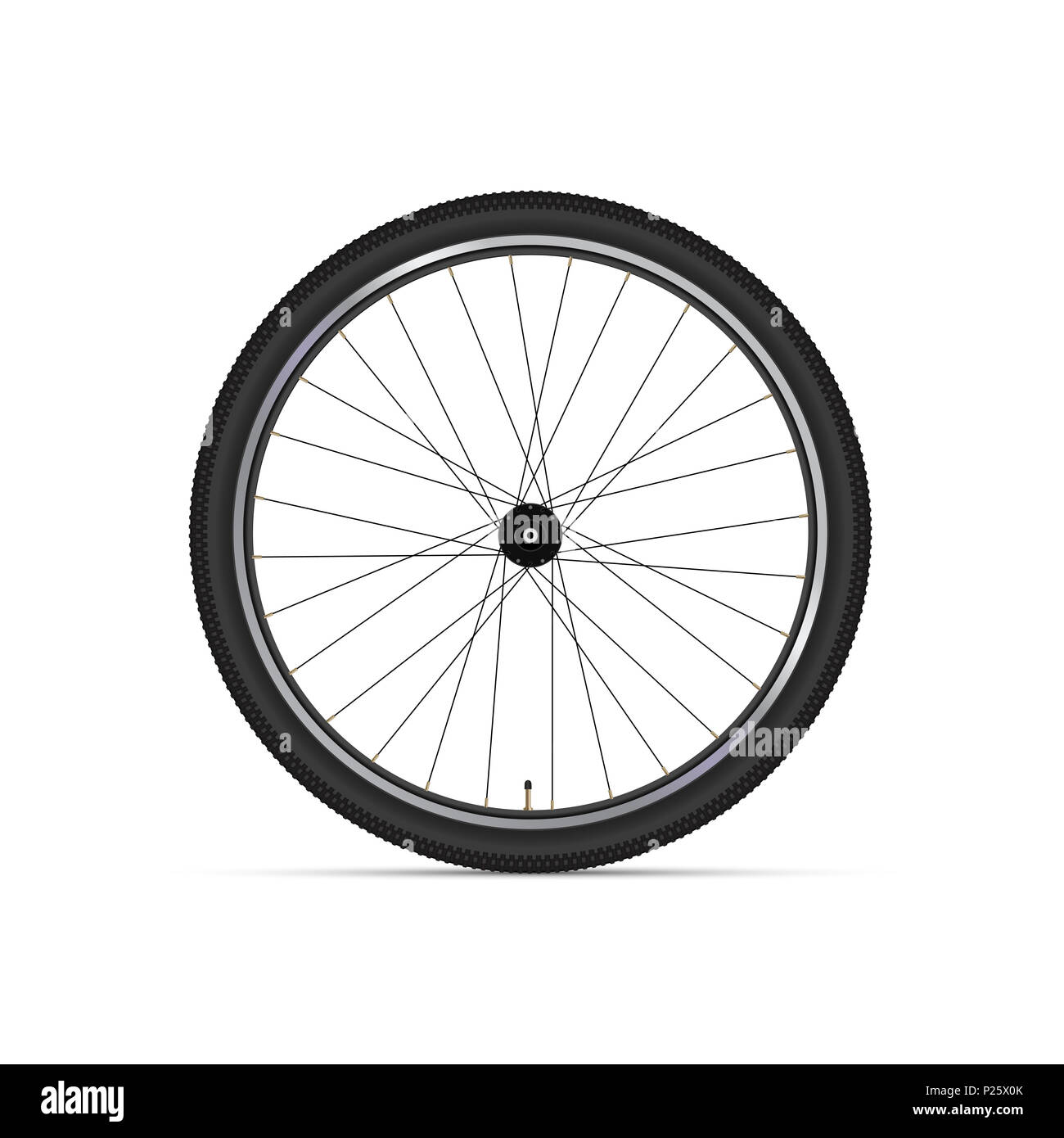 Mountain Bicycle Wheel with Polished Rims. 3D Realistic Illustration ...