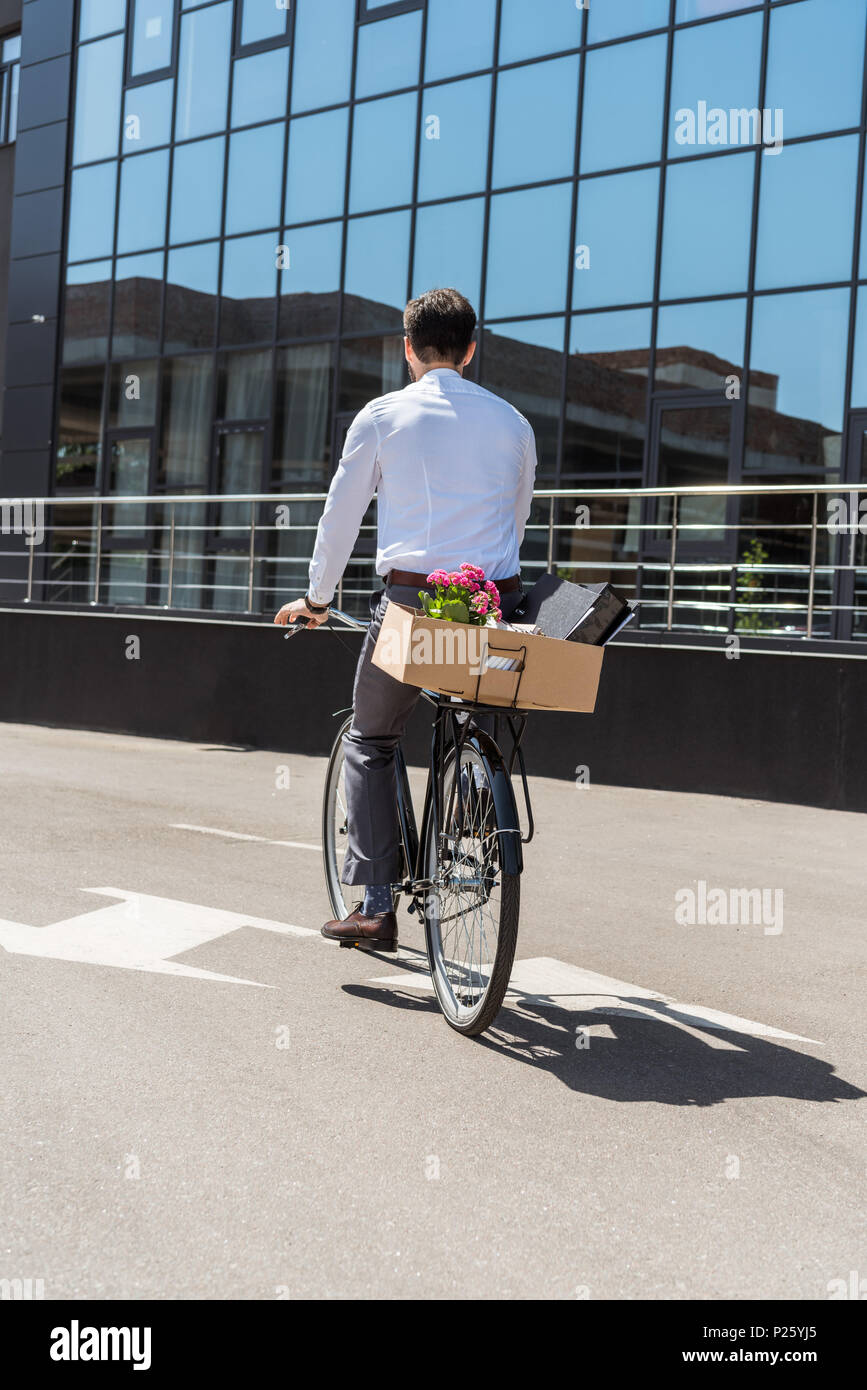 rear view of manager riding on bicycle with box on trunk Stock Photo ...
