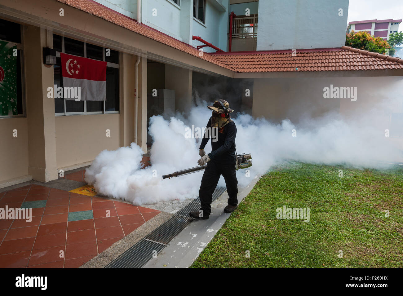 Singapore, Singapore, pestilent fighting on the grounds of an apartment ...