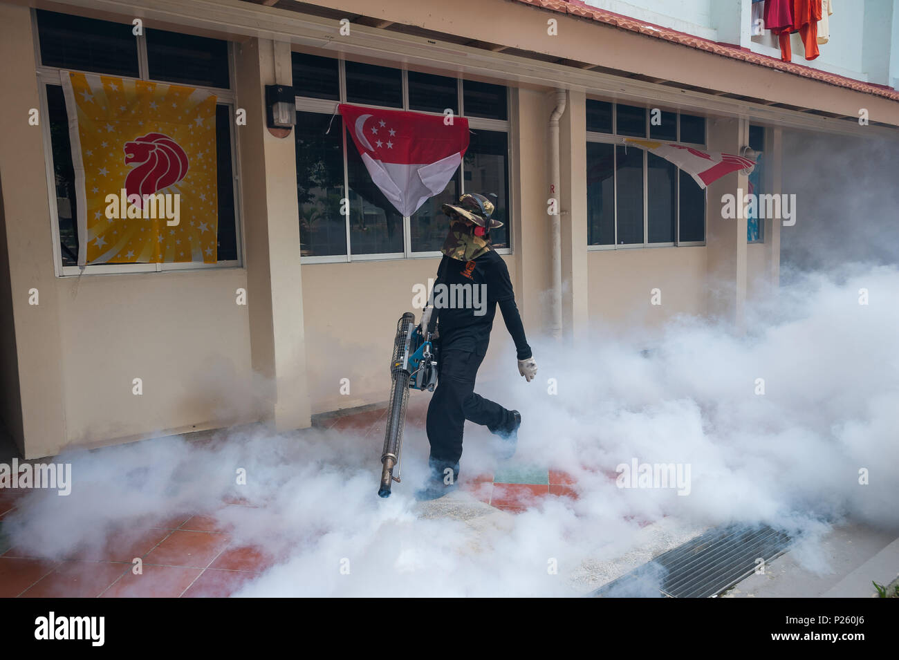 Singapore, Singapore, pestilent fighting on the grounds of an apartment ...
