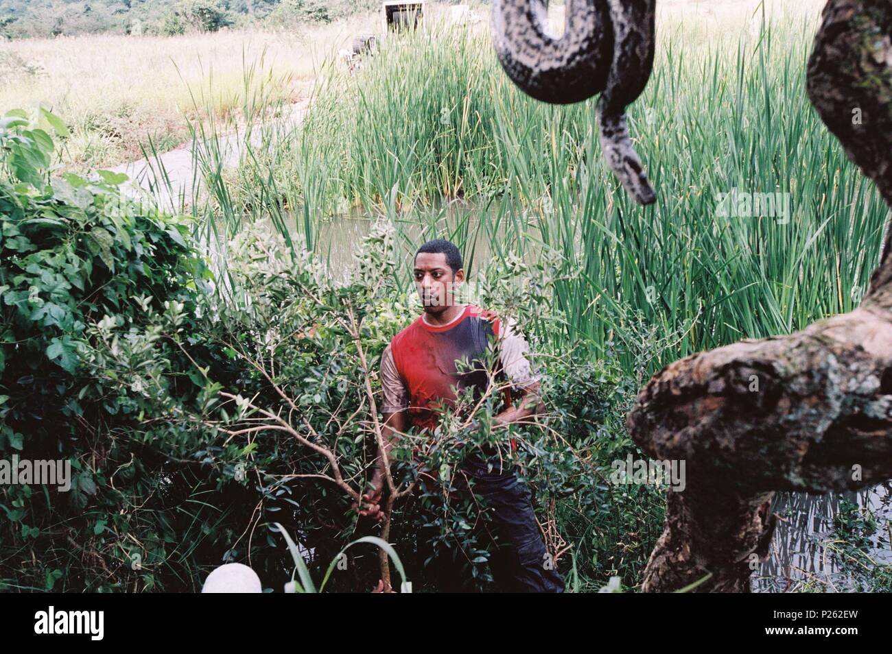 Original Film Title: PRIMEVAL. English Title: PRIMEVAL. Film Director ...