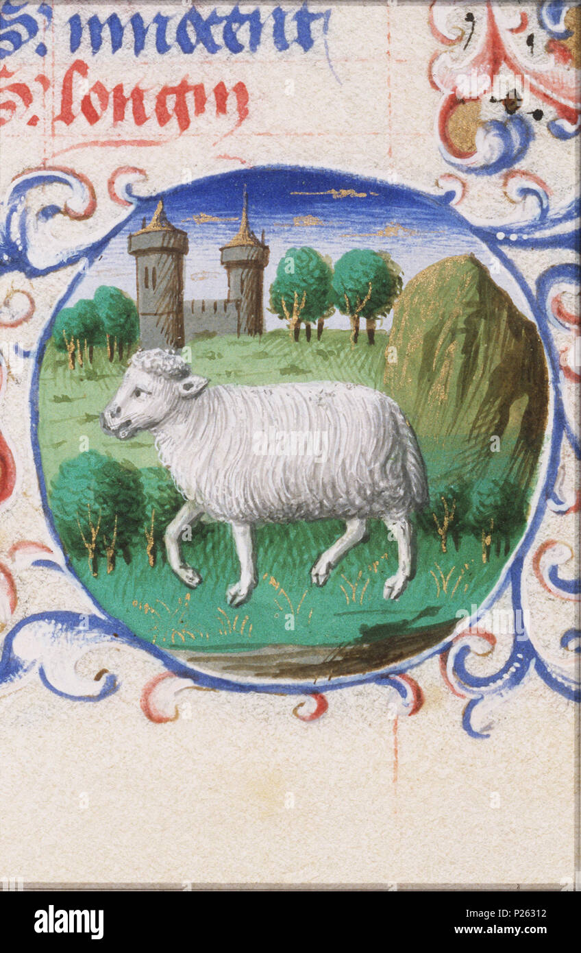 Aries zodiac sign hi-res stock photography and images - Alamy