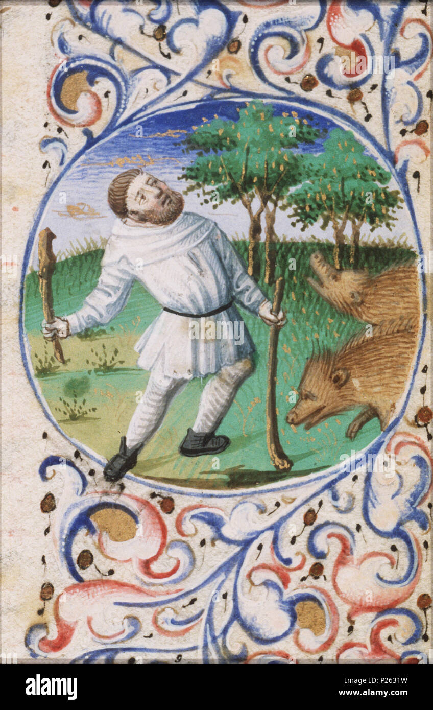 Miniature oak trees hi-res stock photography and images - Alamy