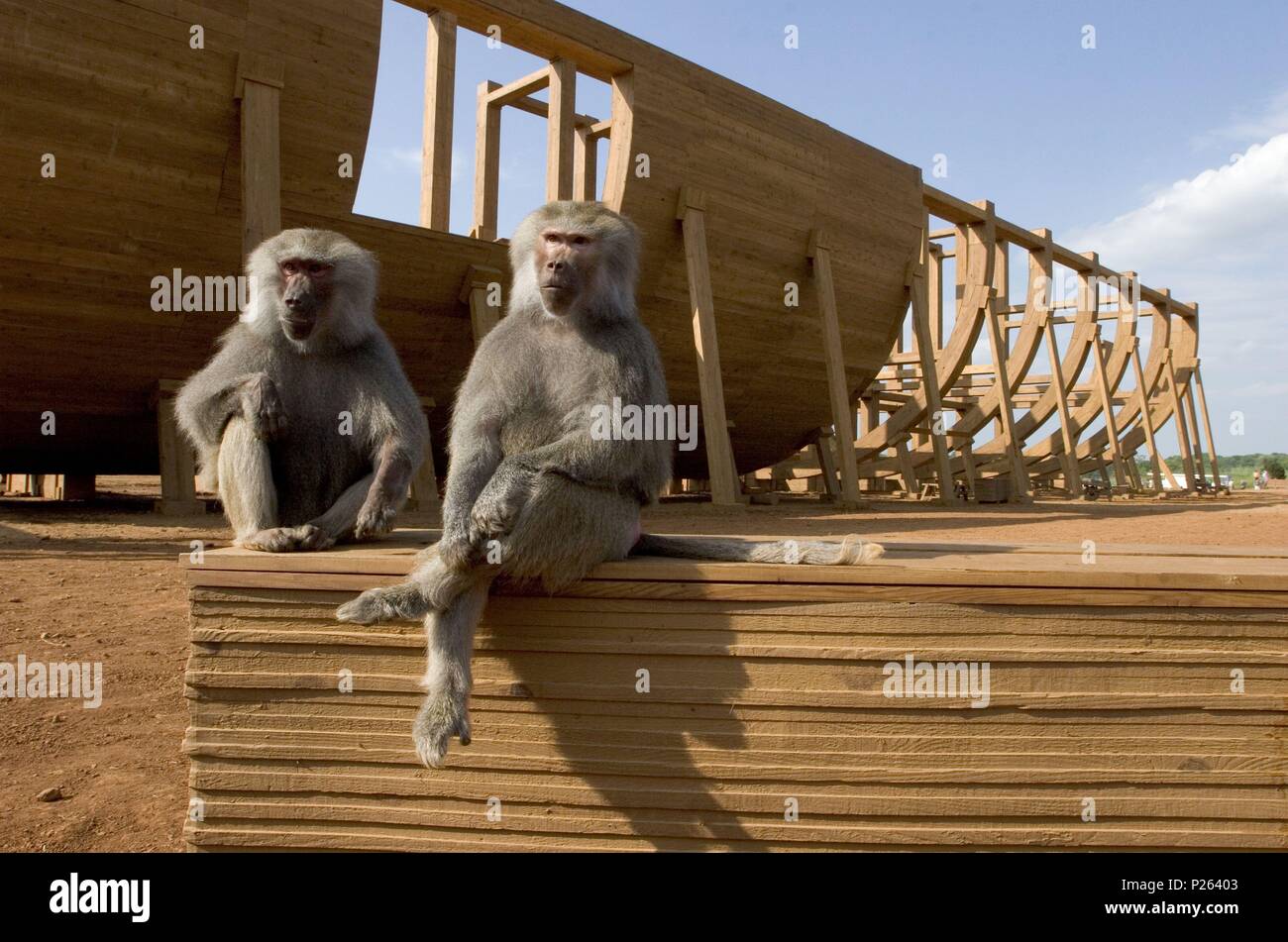 Original Film Title: EVAN ALMIGHTY. English Title: EVAN ALMIGHTY. Film ...