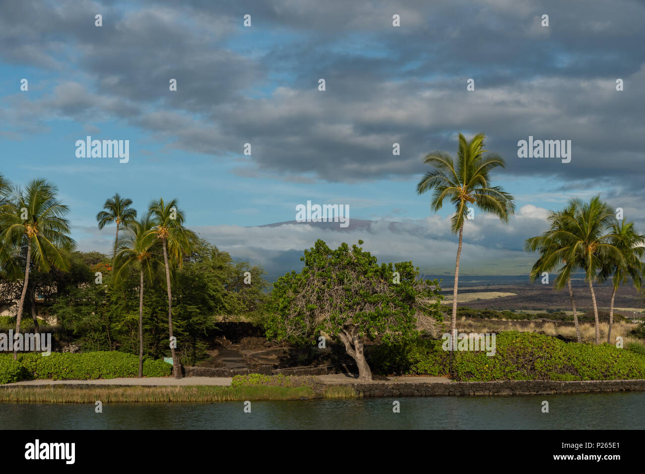 Kohala volcano hi-res stock photography and images - Alamy