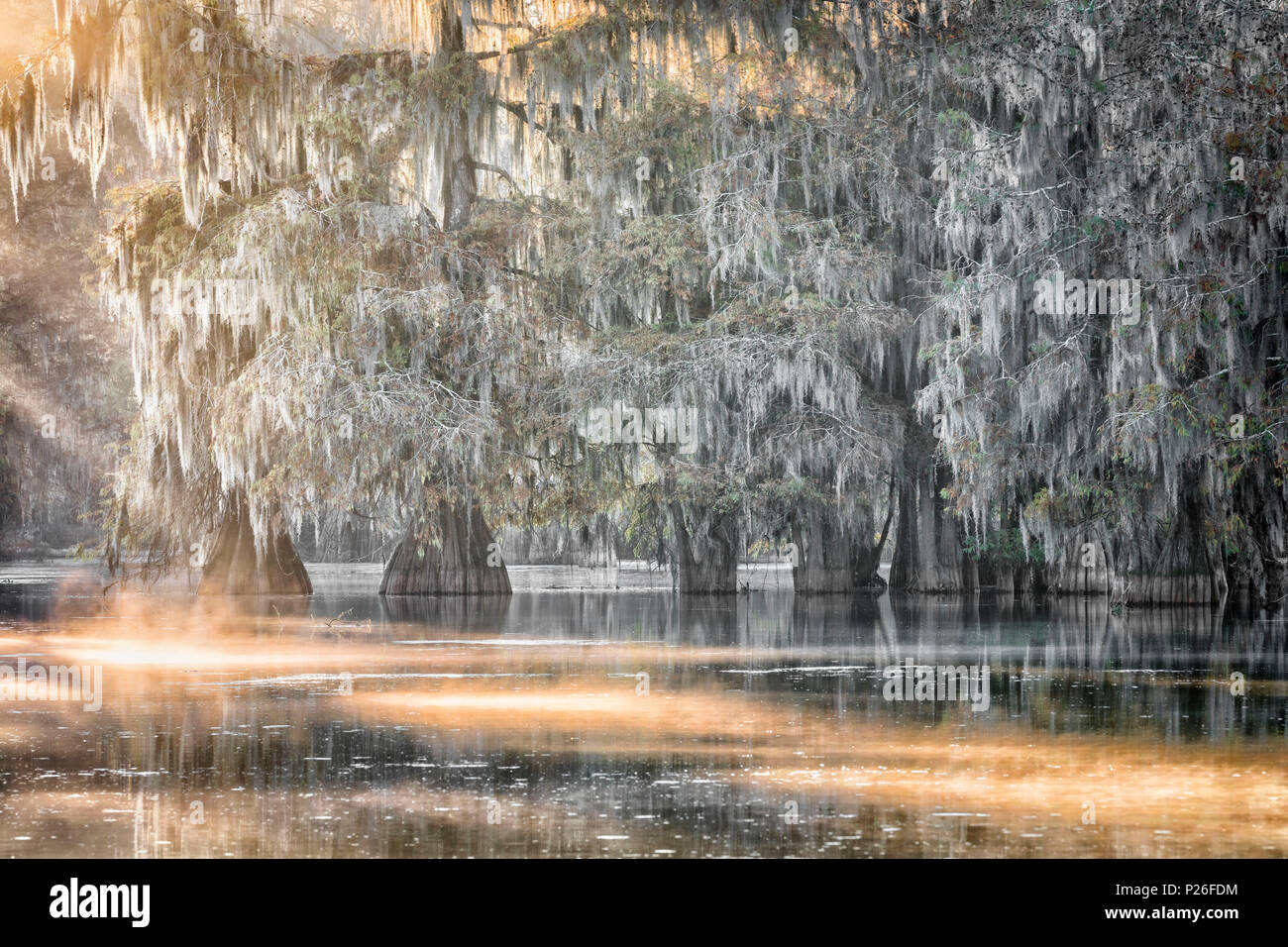 Atchafalaya River High Resolution Stock Photography and Images - Alamy
