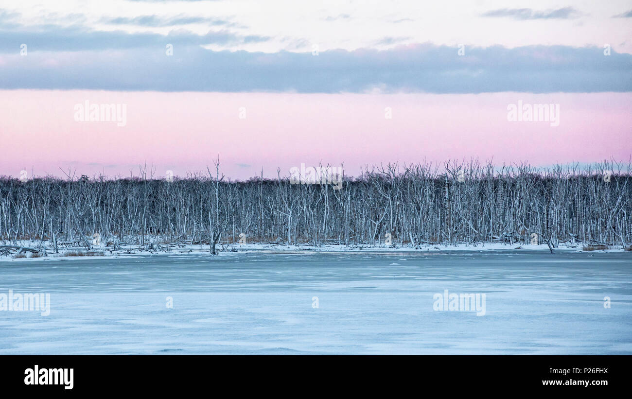 Narawara, Notsuke peninsula, shibetsu, eastern hokkaido Stock Photo - Alamy