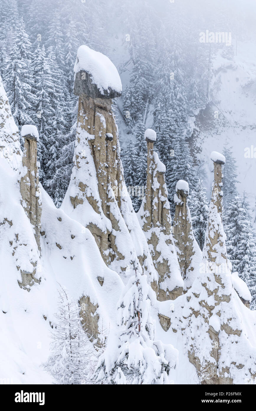 Perca/Percha, province of Bolzano, South Tyrol, Italy, Europe. Winter ...