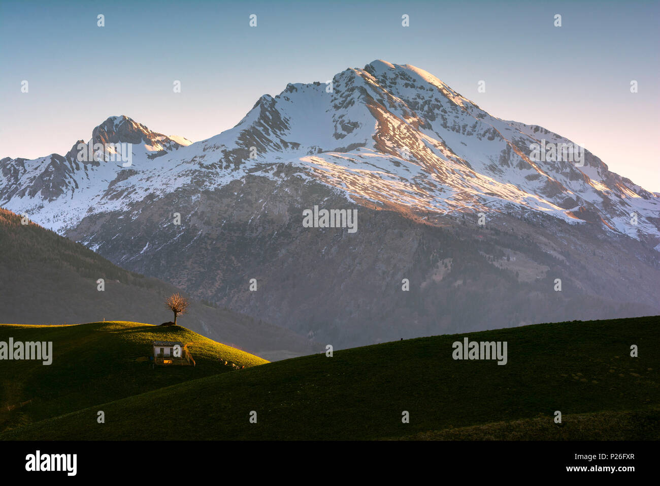 Serina hi-res stock photography and images - Alamy