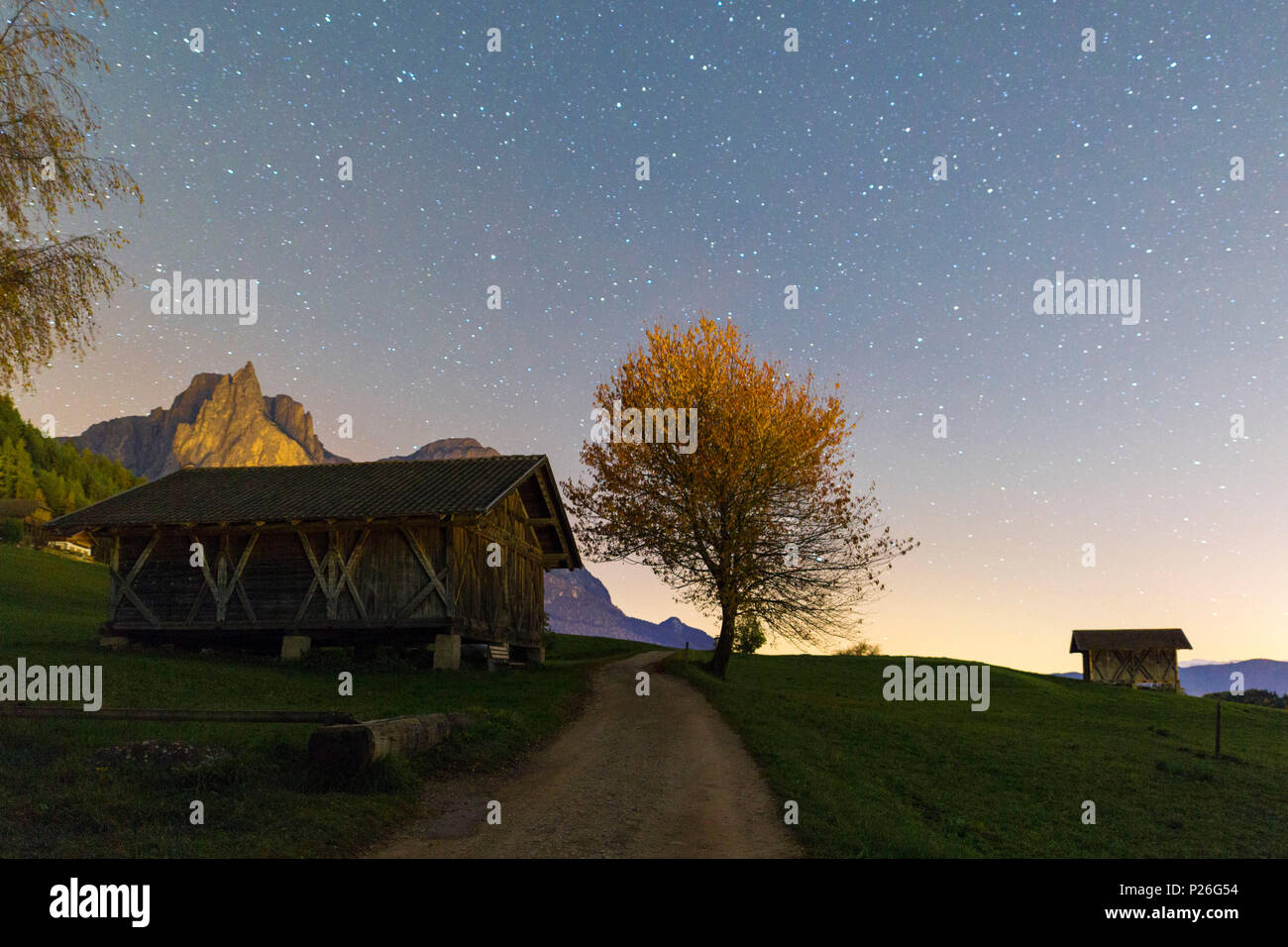 Starry sky on lone tree and hut, Castelrotto, Seiser Alm, Bolzano ...