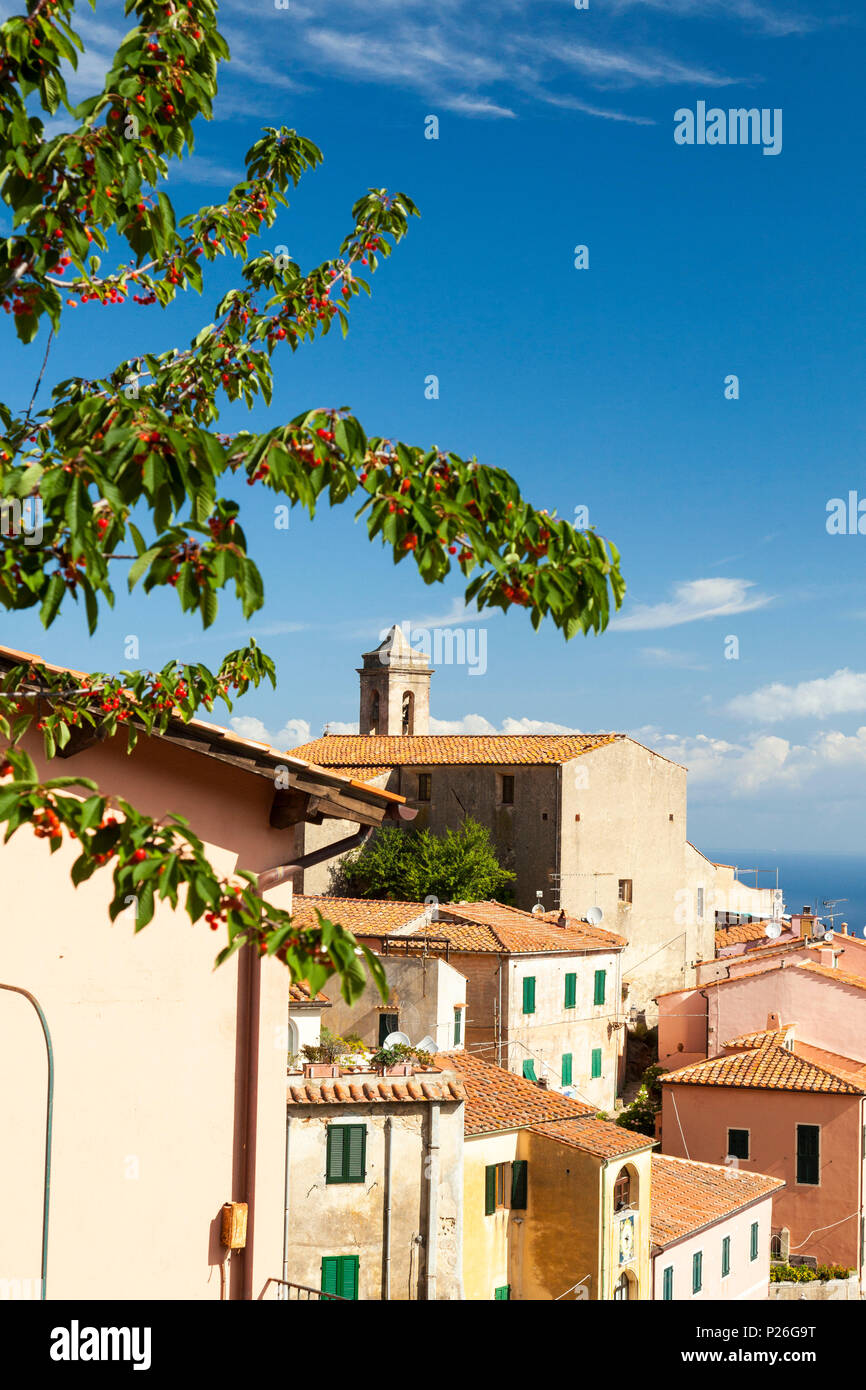 Old town and bell tower, Poggio, Marciana, Elba Island, Livorno ...