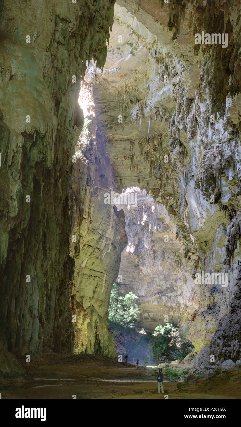 The entrance of a cave in southeast Brazil with researchers ready to ...