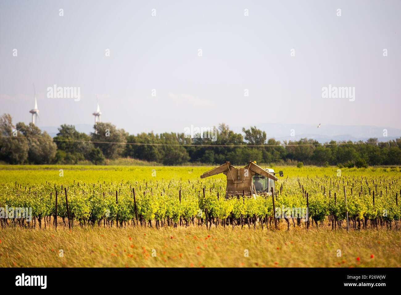 Spraying pesticide vineyard france hi-res stock photography and images - Alamy