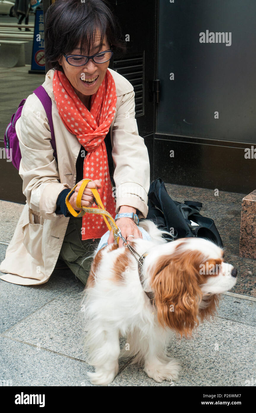 Japanese woman with her pampered Cavalier King Charles Spaniel, Tokyo ...