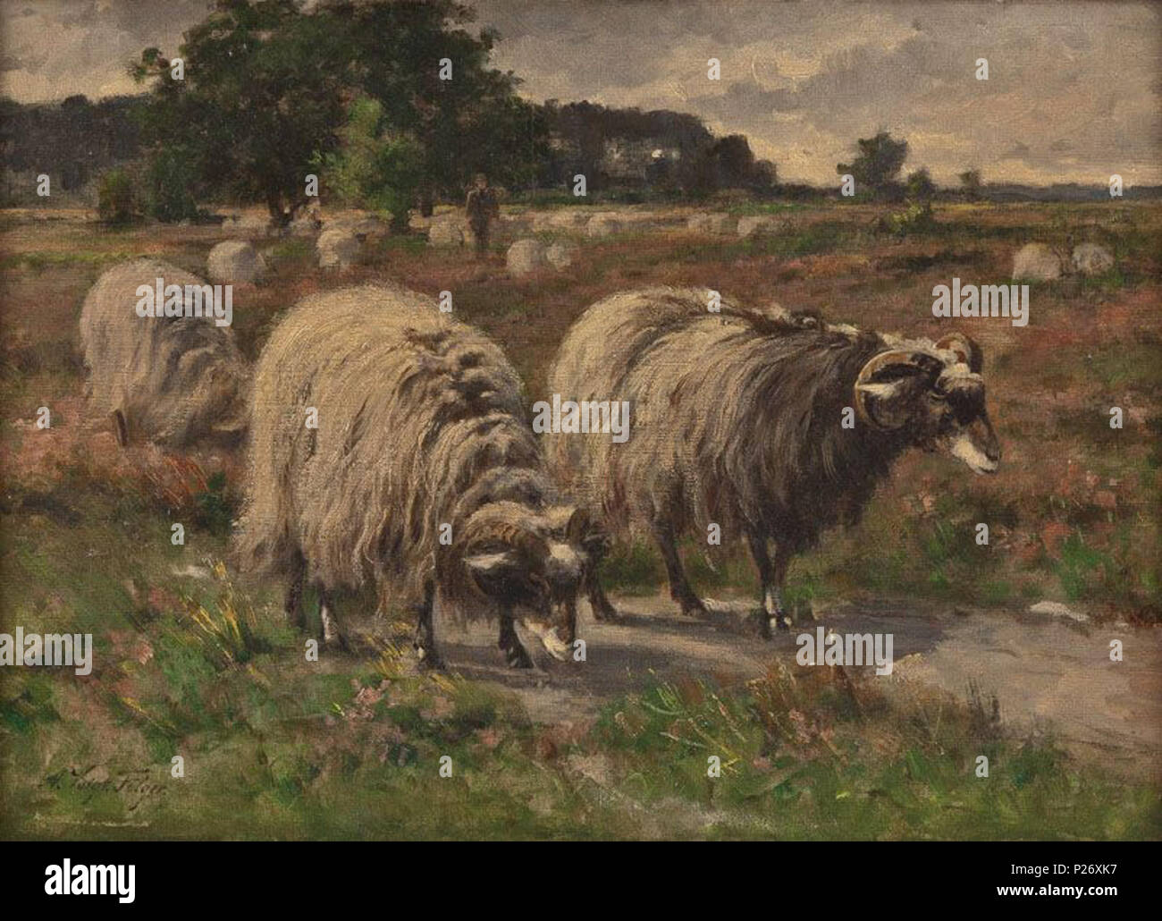 Voigt felger hi-res stock photography and images - Alamy