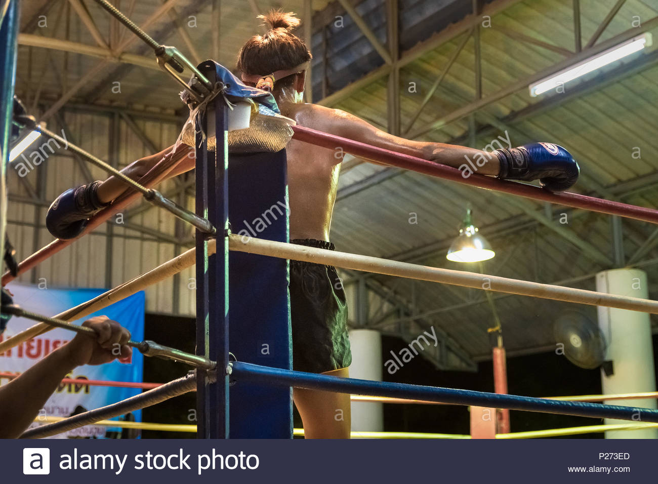 Thai Boxing Stock Photos & Thai Boxing Stock Images - Alamy