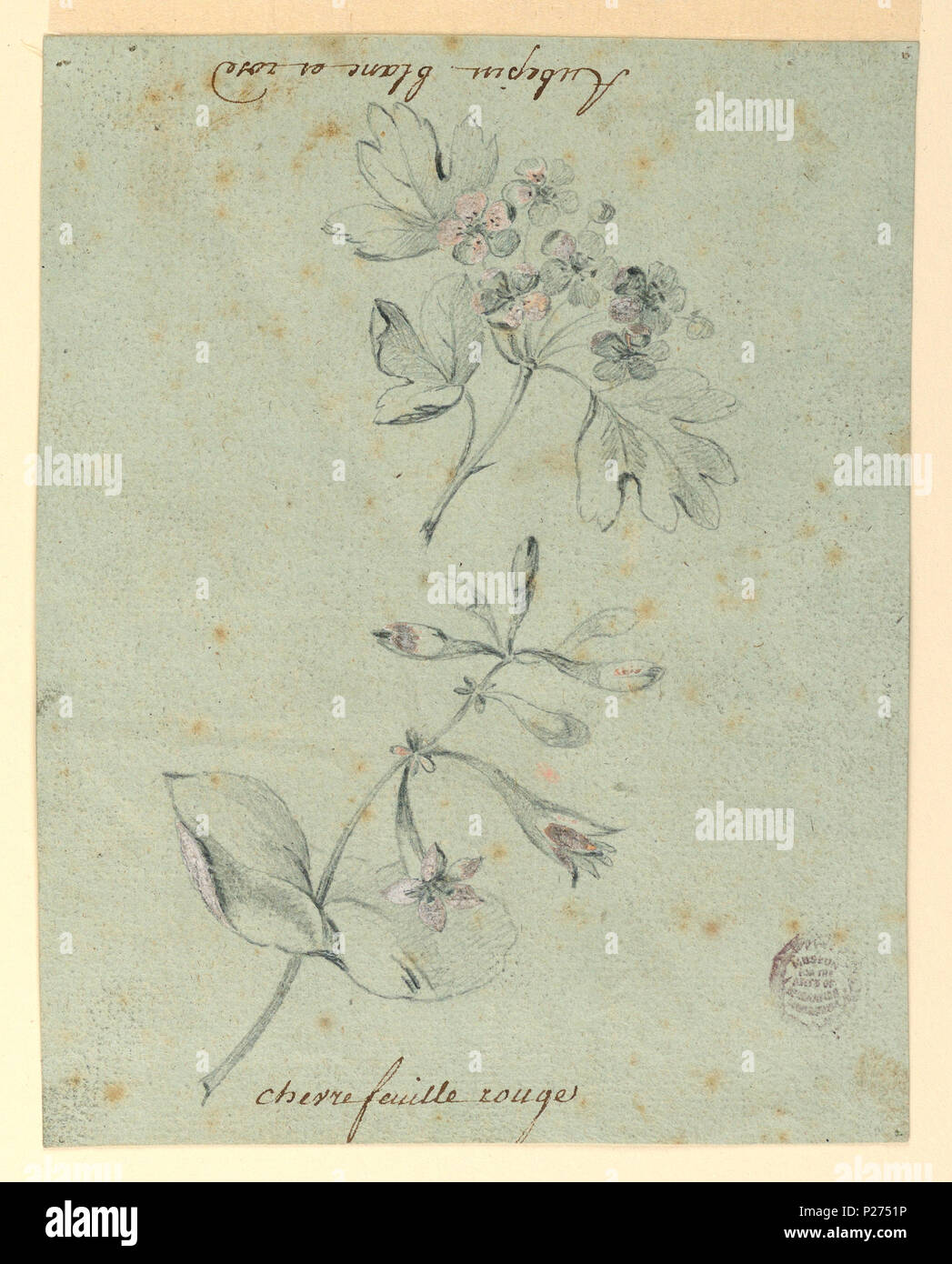 . English: Drawing (France) . before 1909 (acquired date) 86 Drawing ...