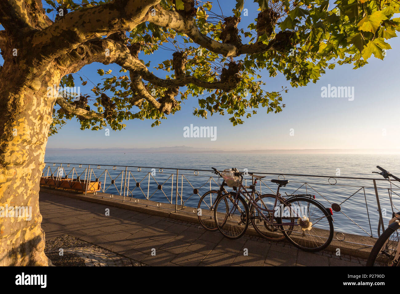Lake constance bikes hi-res stock photography and images - Alamy