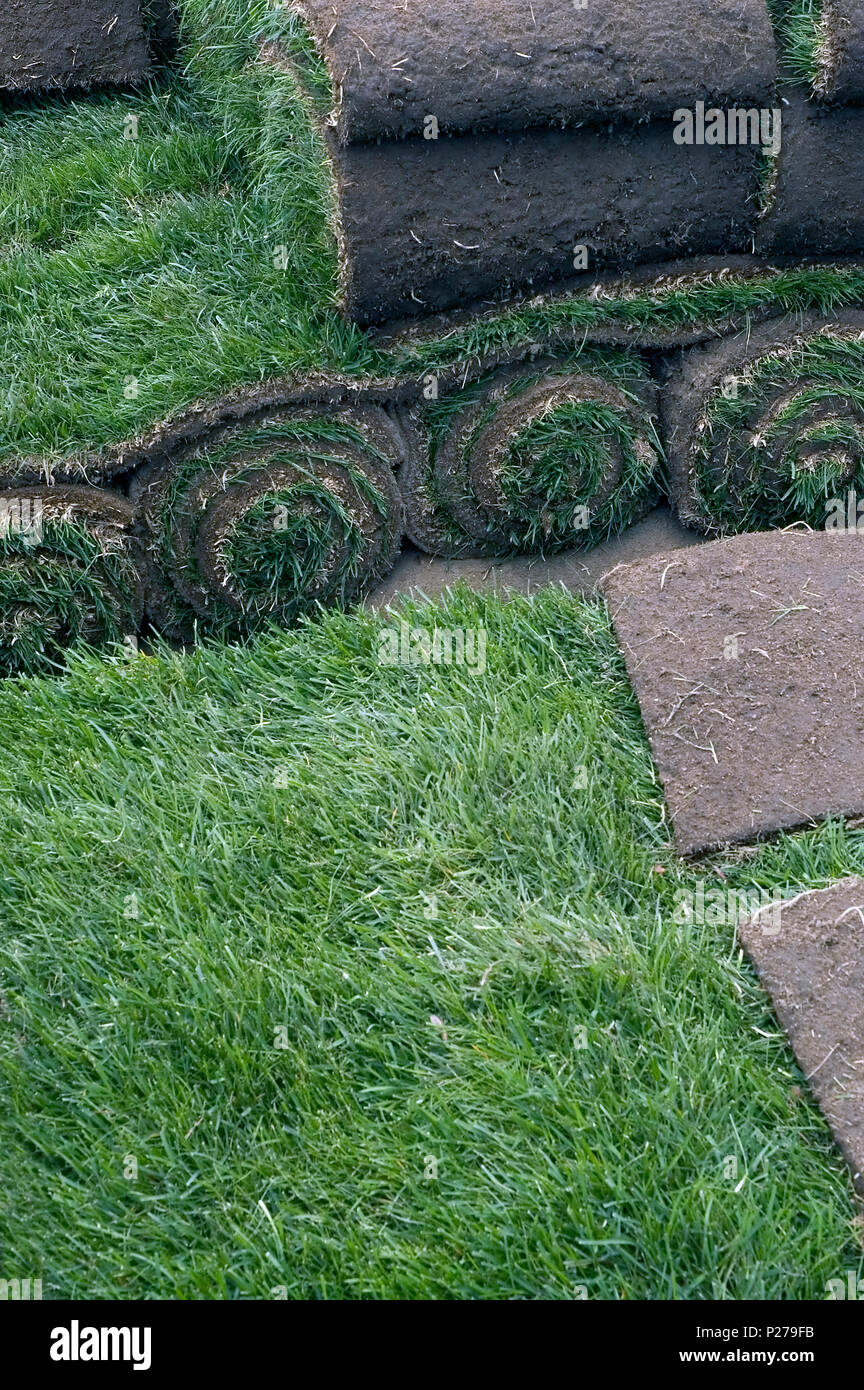 Instant lawn hi-res stock photography and images - Alamy