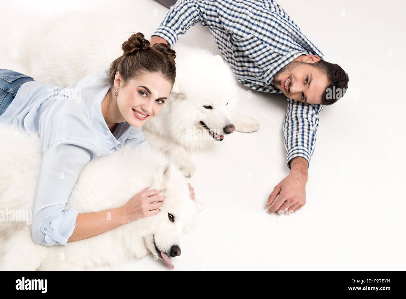 overhead view of couple lying with dogs on white Stock Photo - Alamy