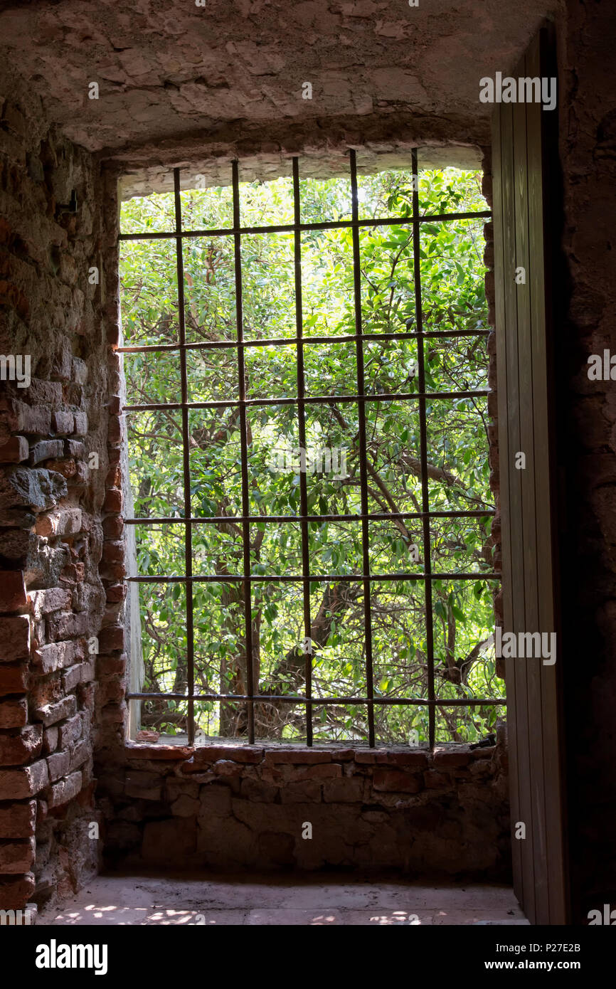 Window with bars with look on trees, vertical image Stock Photo - Alamy