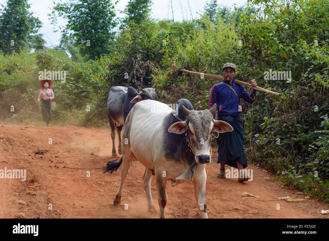 Man drive hi-res stock photography and images - Alamy