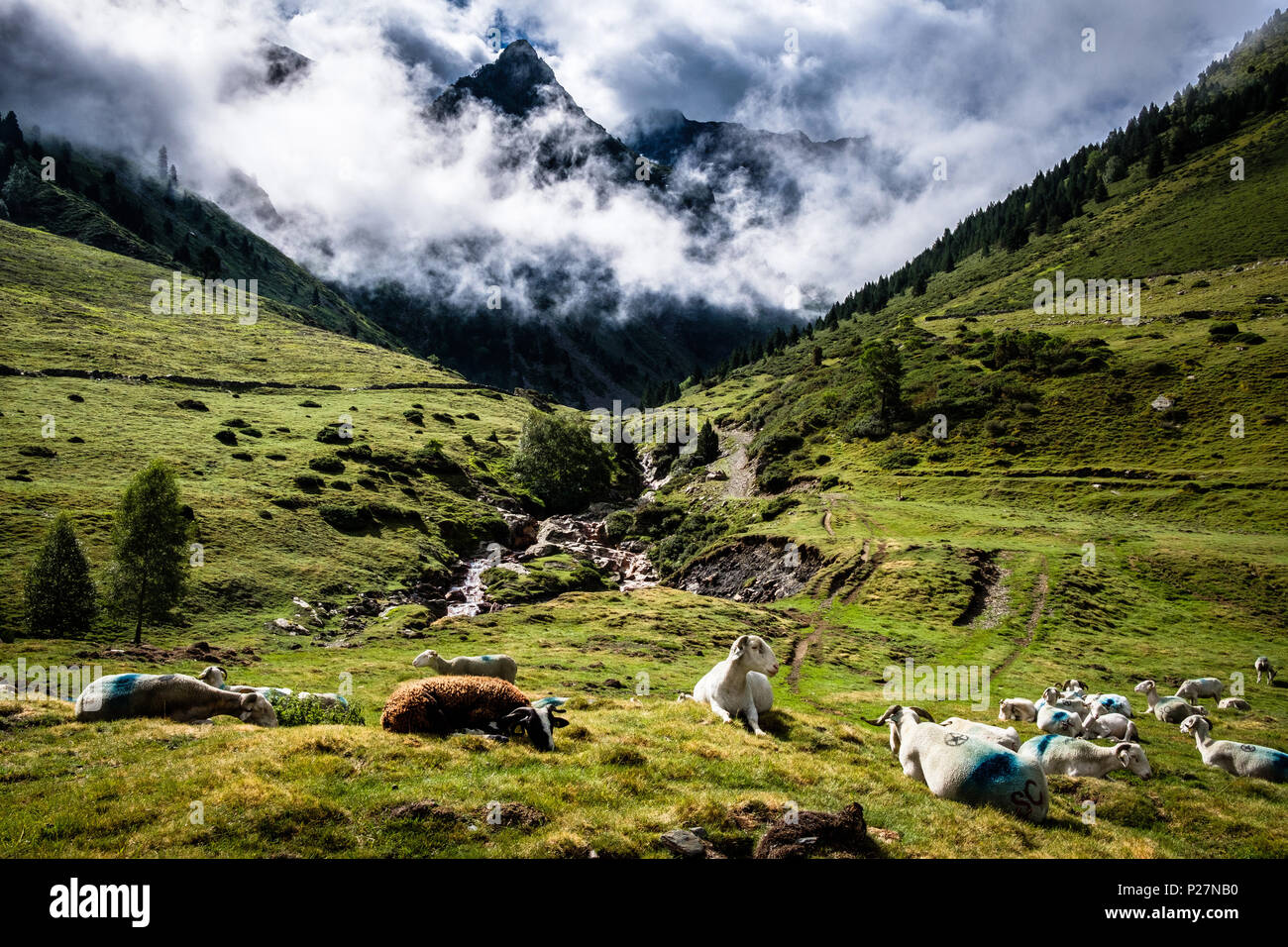 Hautes-Pyrenees department (Upper Pyrenees, south-western France ...