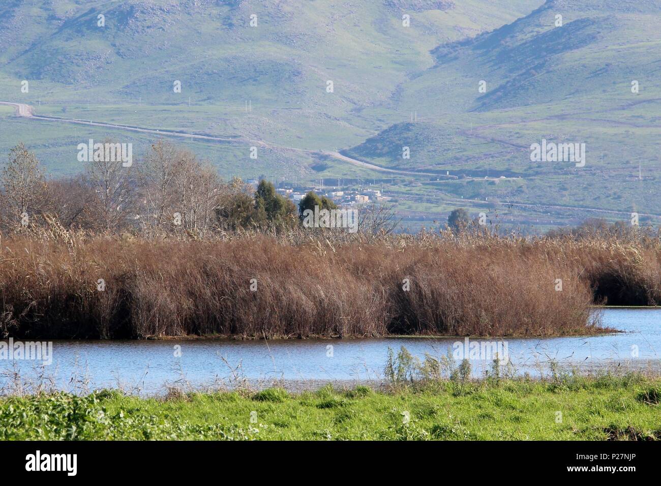 Lake hula Israel, hula nature reserve Stock Photo - Alamy