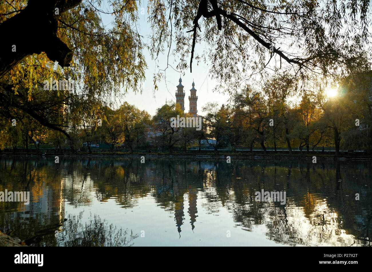 Sunny water park with swan hi-res stock photography and images - Alamy