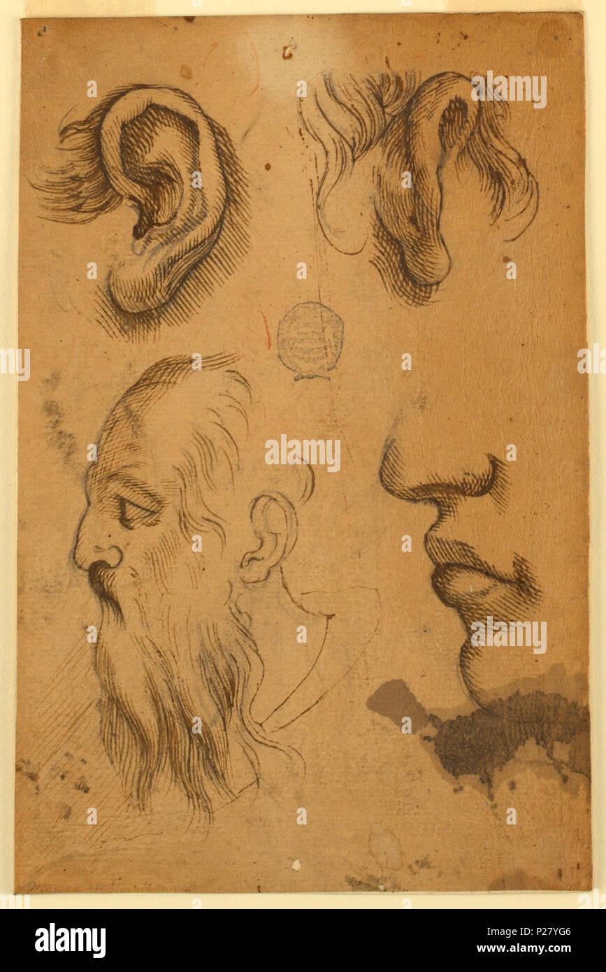 . English: Drawing (Italy) . before 1901 (acquired date) 92 Drawing ...