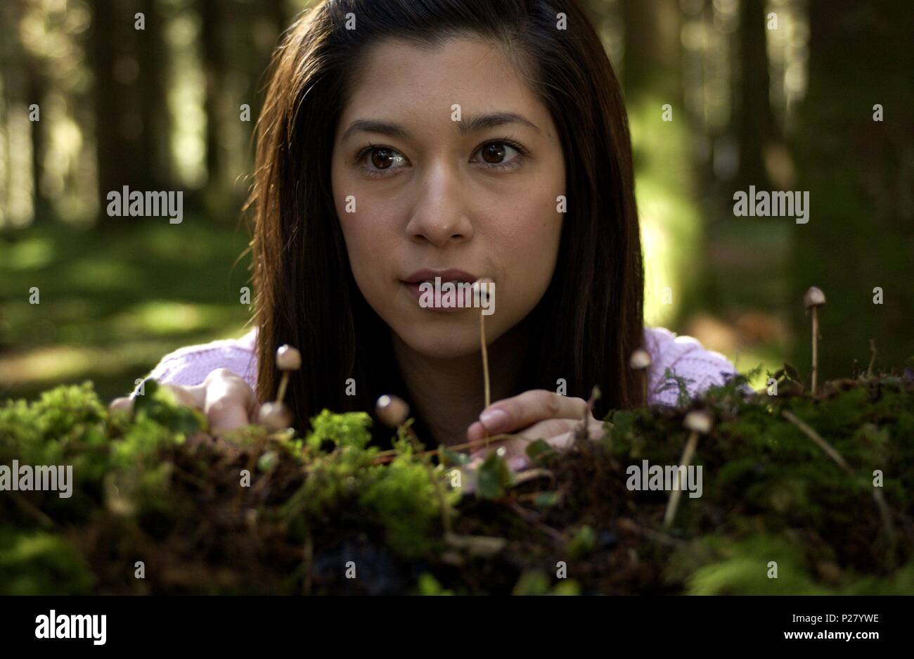 Original Film Title: SHROOMS. English Title: SHROOMS. Film Director ...