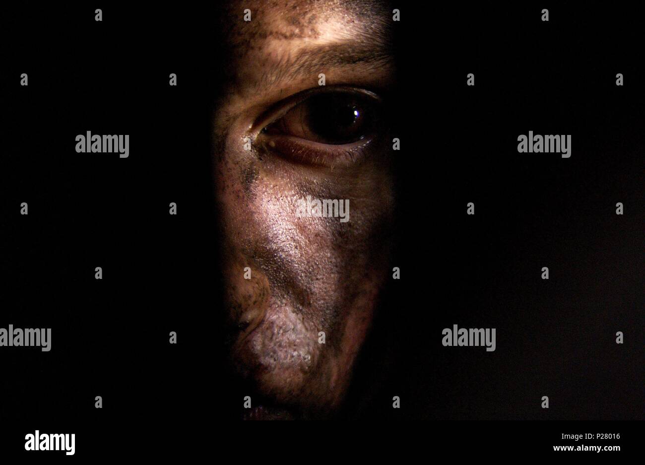 Original Film Title: SHROOMS. English Title: SHROOMS. Film Director ...