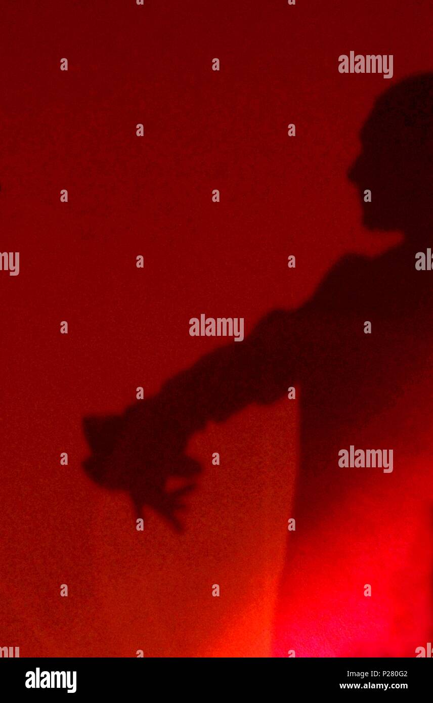 Shadow of a flamenco dancer Stock Photo - Alamy