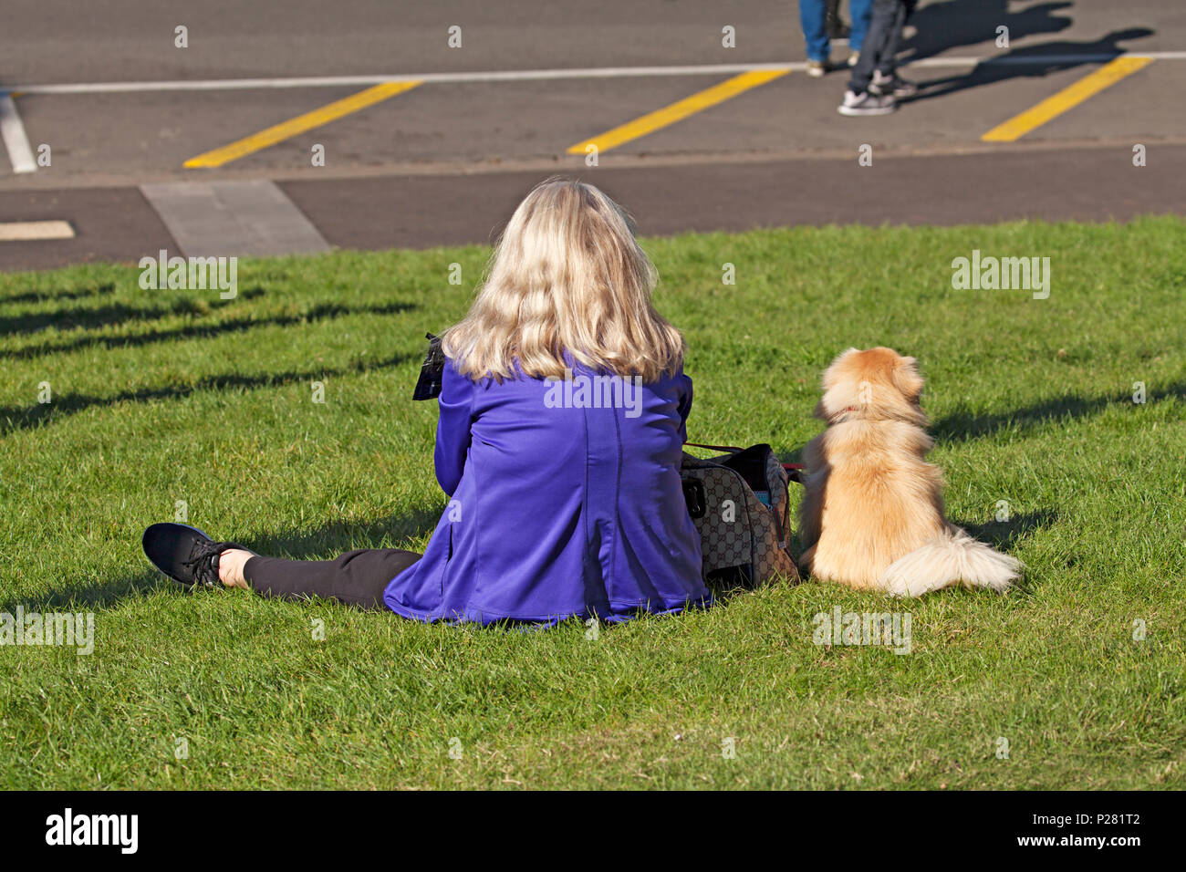 The Ballarat Harmony Festival is an annual event that celebrates all ...