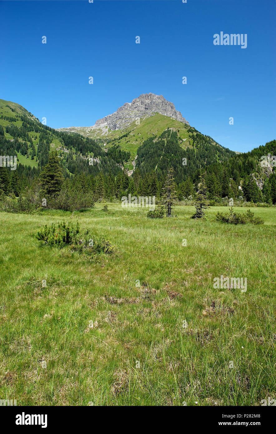 Piana gaver hi-res stock photography and images - Alamy