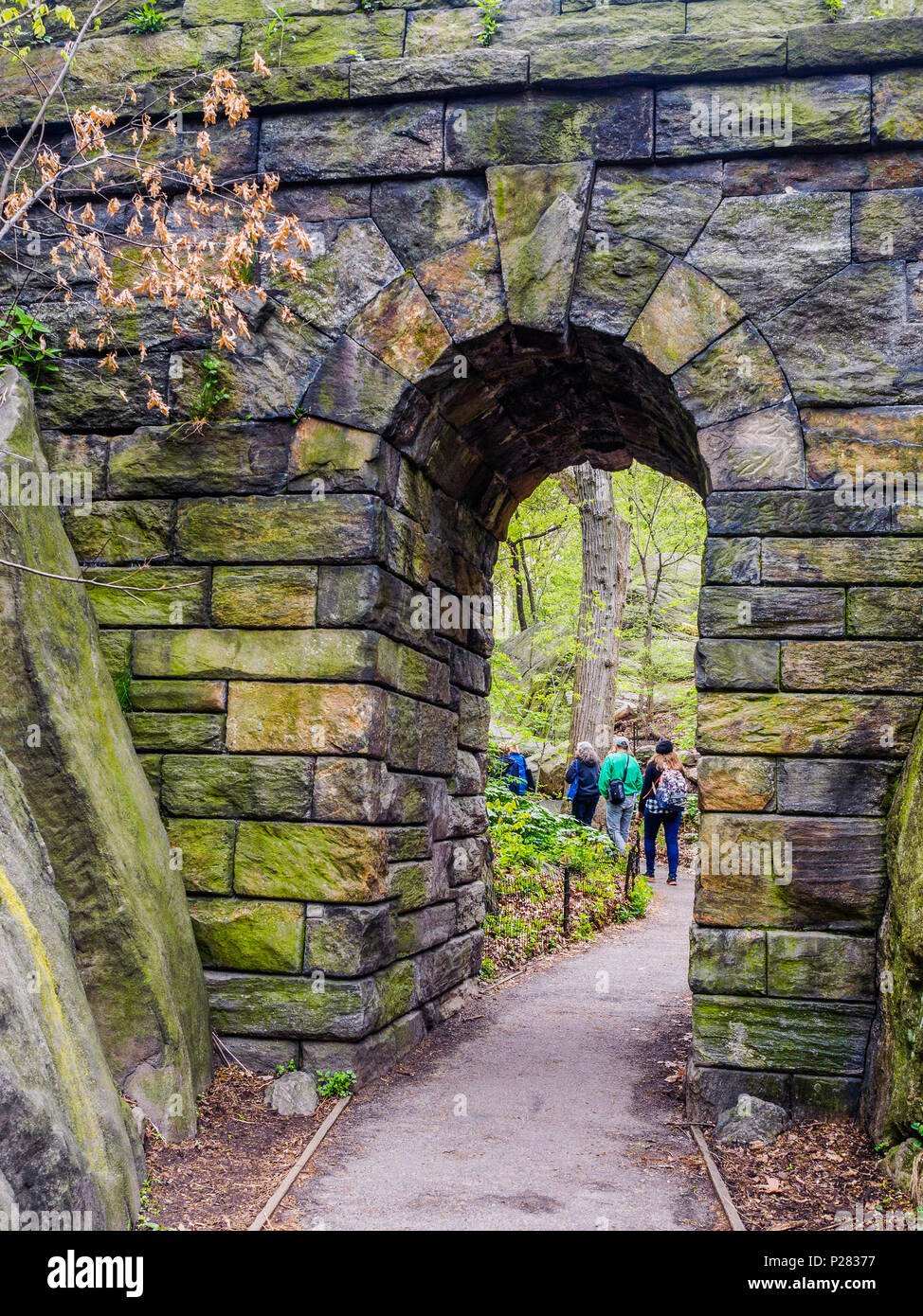 Ramble High Resolution Stock Photography and Images - Alamy