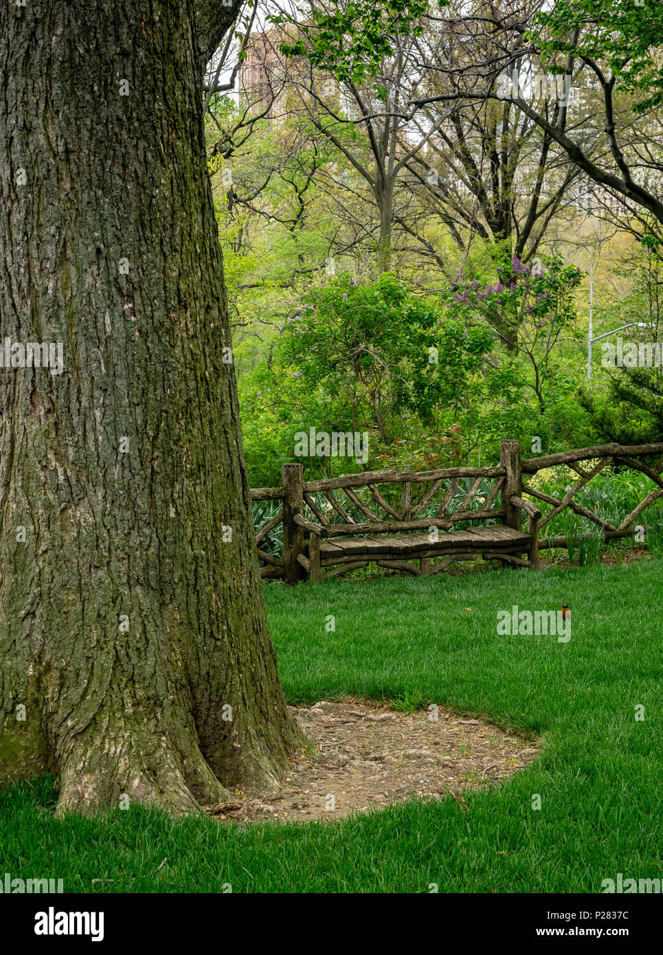 Central Park Bench Stock Photos & Central Park Bench Stock Images - Alamy