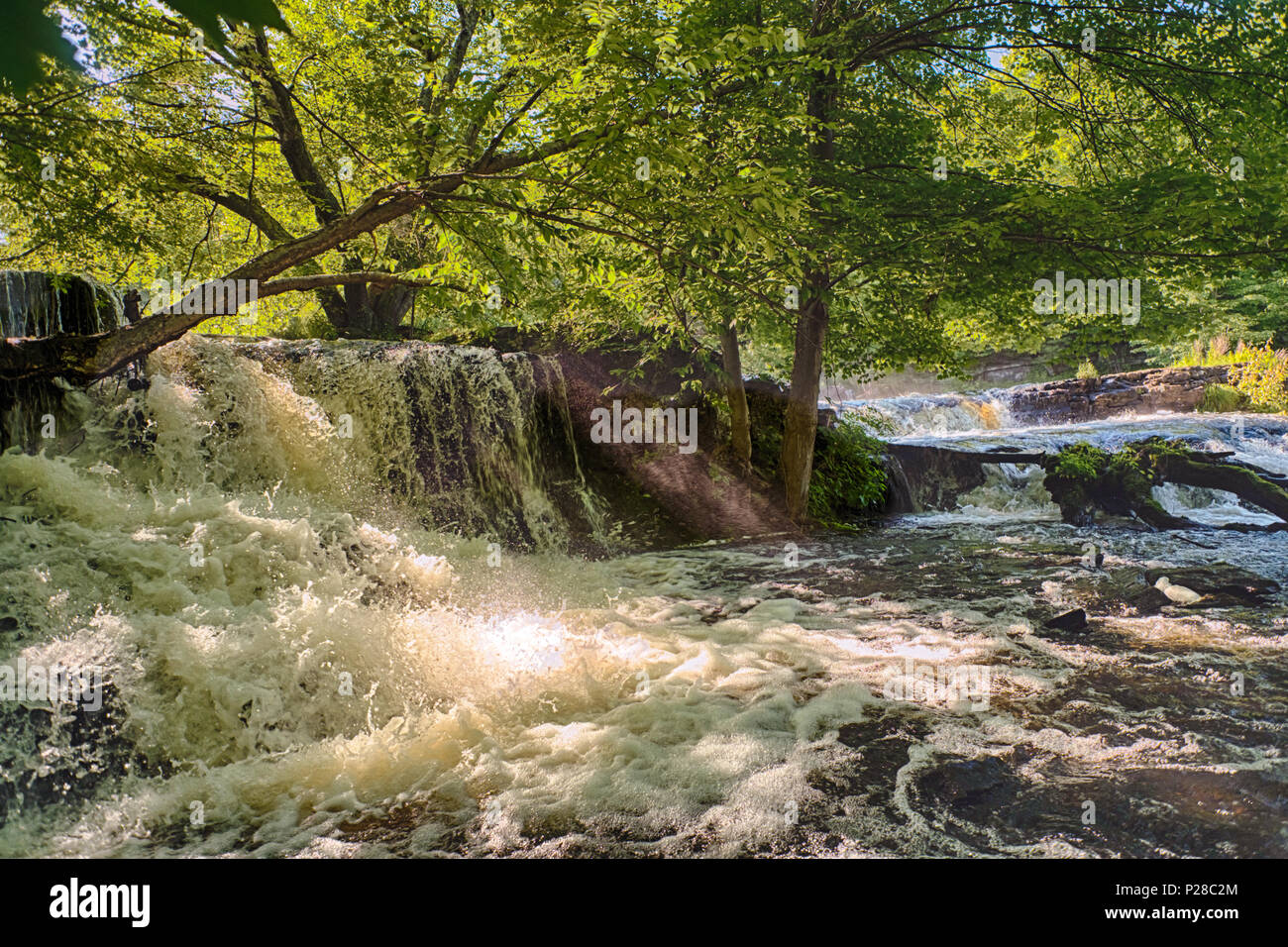 Beautiful summer waterfall landscape with vivid HDR colors Stock Photo ...