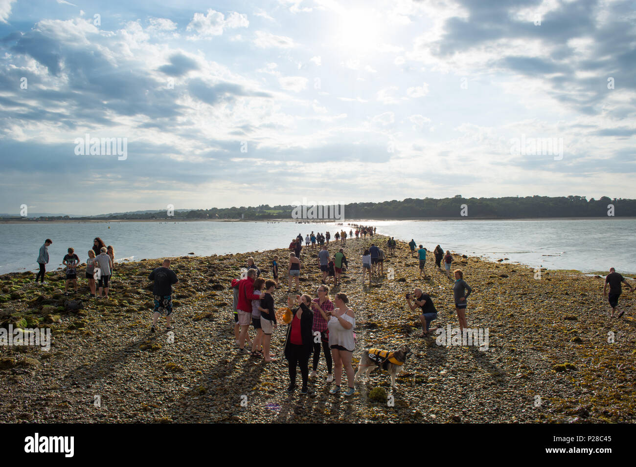 Taking selfies from the fort at the Bembridge and St Helens Annual Fort ...