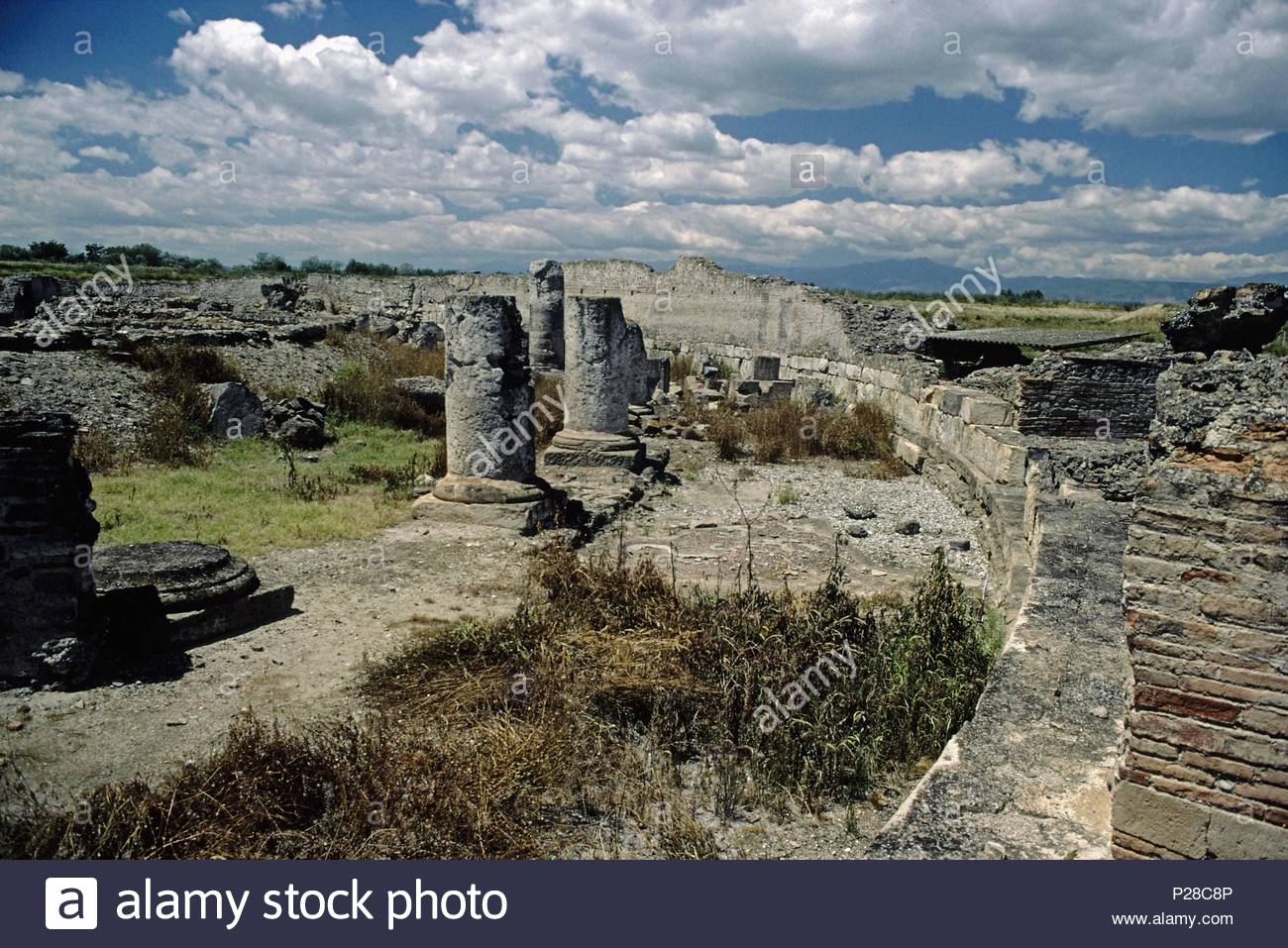 Sybaris Stock Photos & Sybaris Stock Images - Alamy