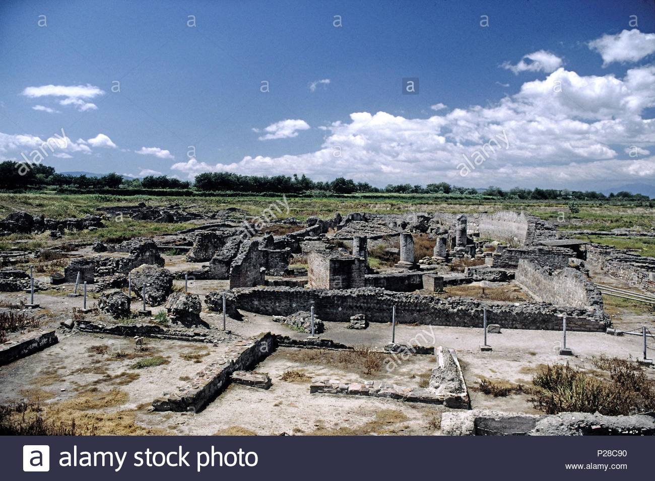 Sybaris Stock Photos & Sybaris Stock Images - Alamy