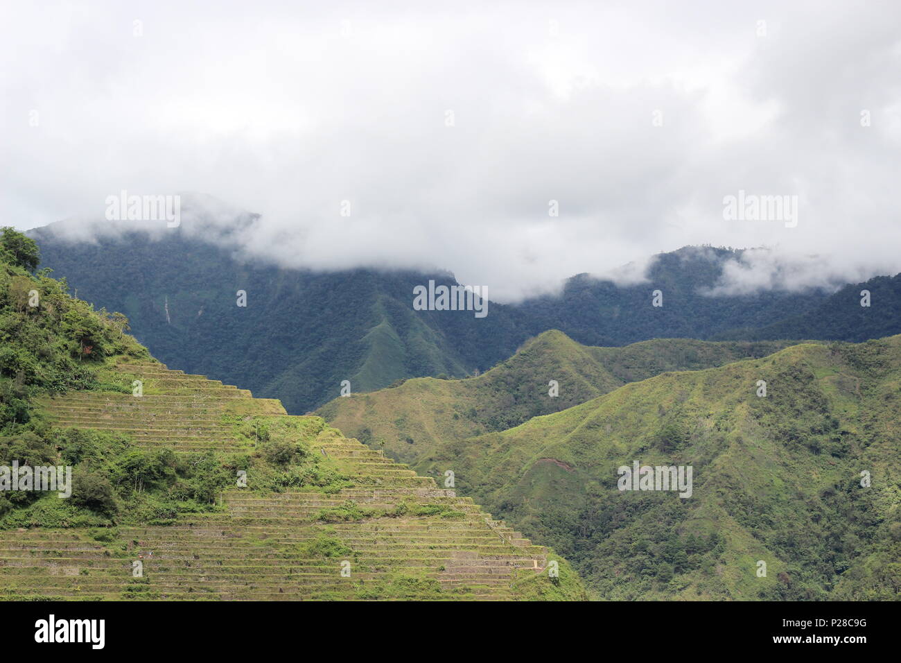 Rice Terraces North Luzon Philippines High Resolution Stock Photography ...